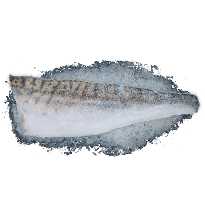 Sandacz filet ze skórą 20% glazury - Profish 5kg - Kup teraz